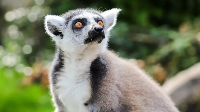 CBeebies | Swiss TV Guide & EPG Listings | TVEpg.eu